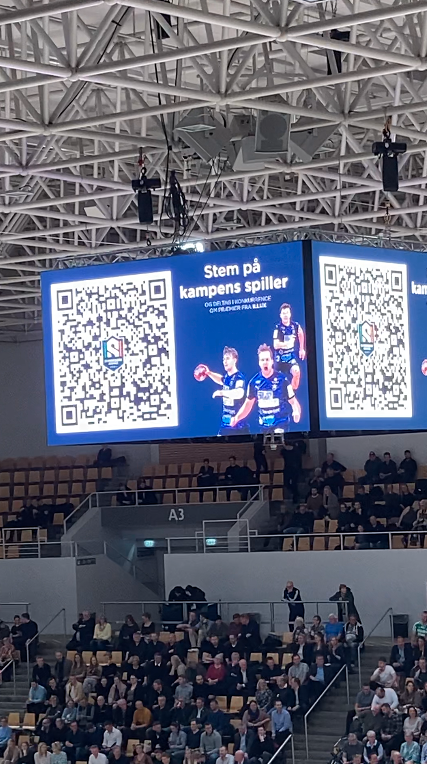 From casual fan to super fan: How gamification is reshaping sports fan ...