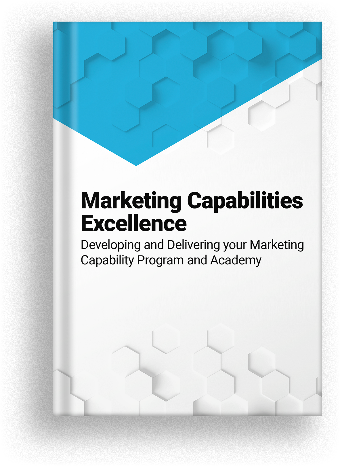 LXA's New Marketing Capabilities Excellence Report